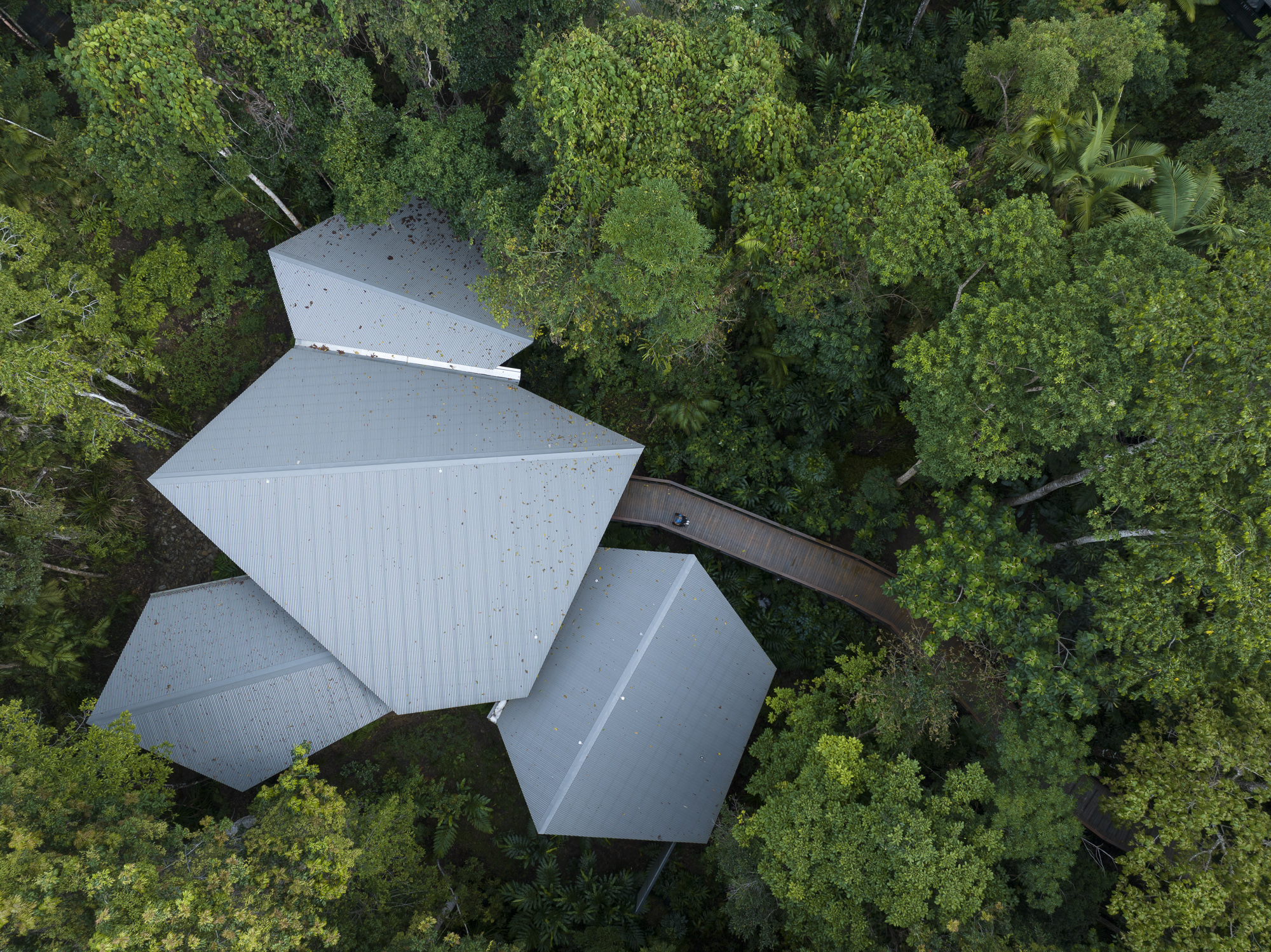 Sam Bloom's Accessible Adventures in TNQ | Cairns & Great Barrier Reef