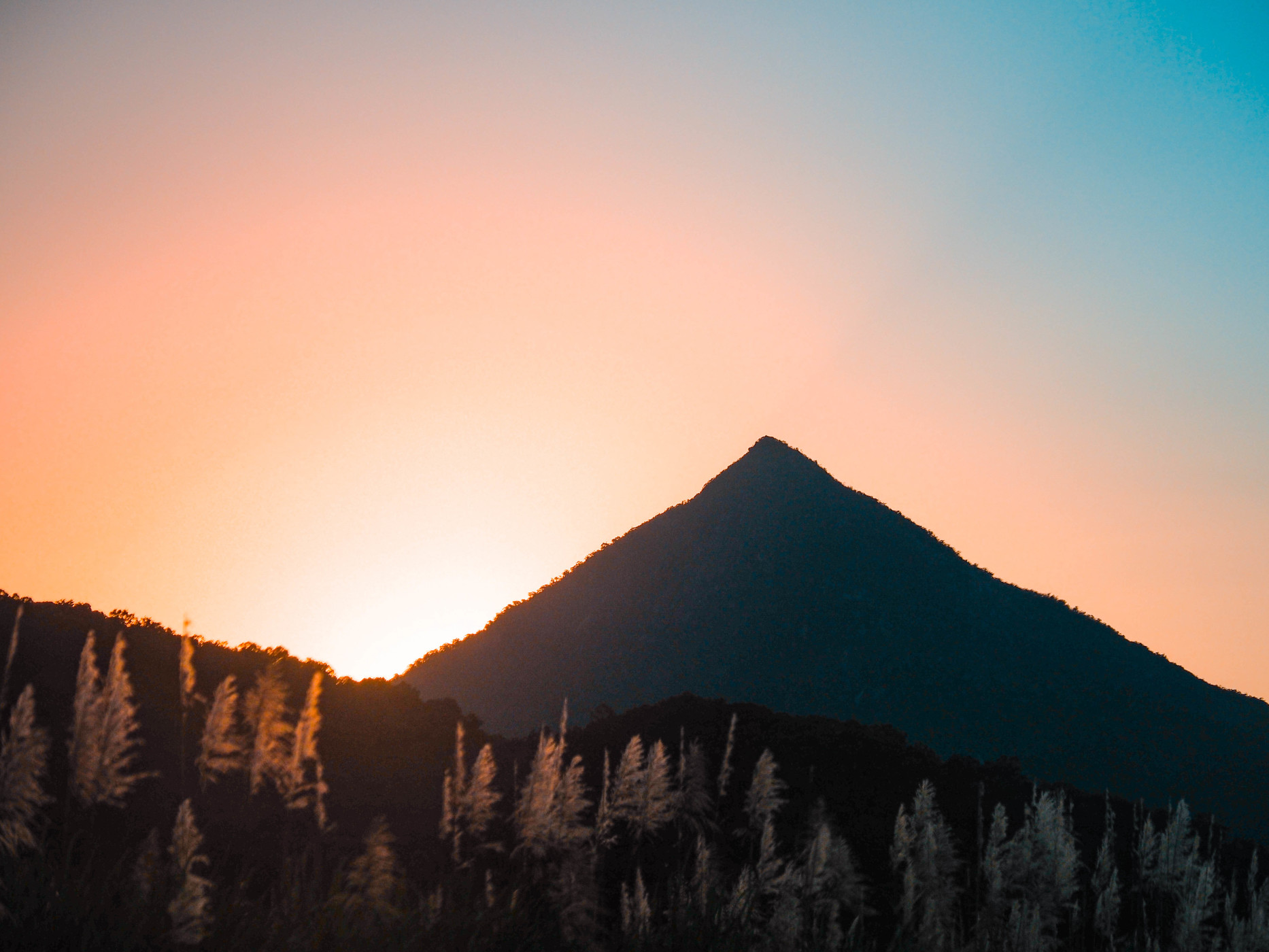 Incredible hikes you need to conquer near Cairns | Cairns & Great ...