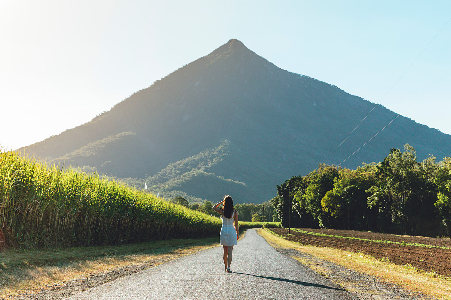 Southern Cairns: Gordonvale & Babinda | Cairns & Great Barrier Reef