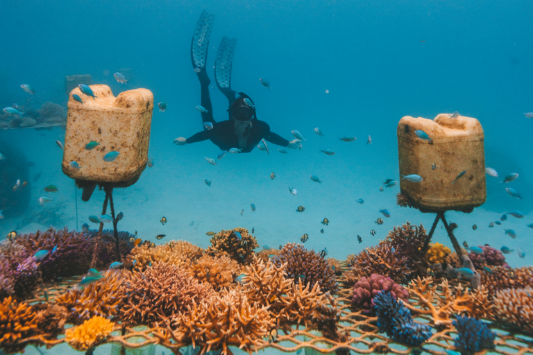 Ways You Can Help Protect The Reef | Cairns & Great Barrier Reef