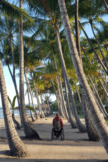 16 things to do on your first trip to Cairns | Cairns & Great Barrier Reef