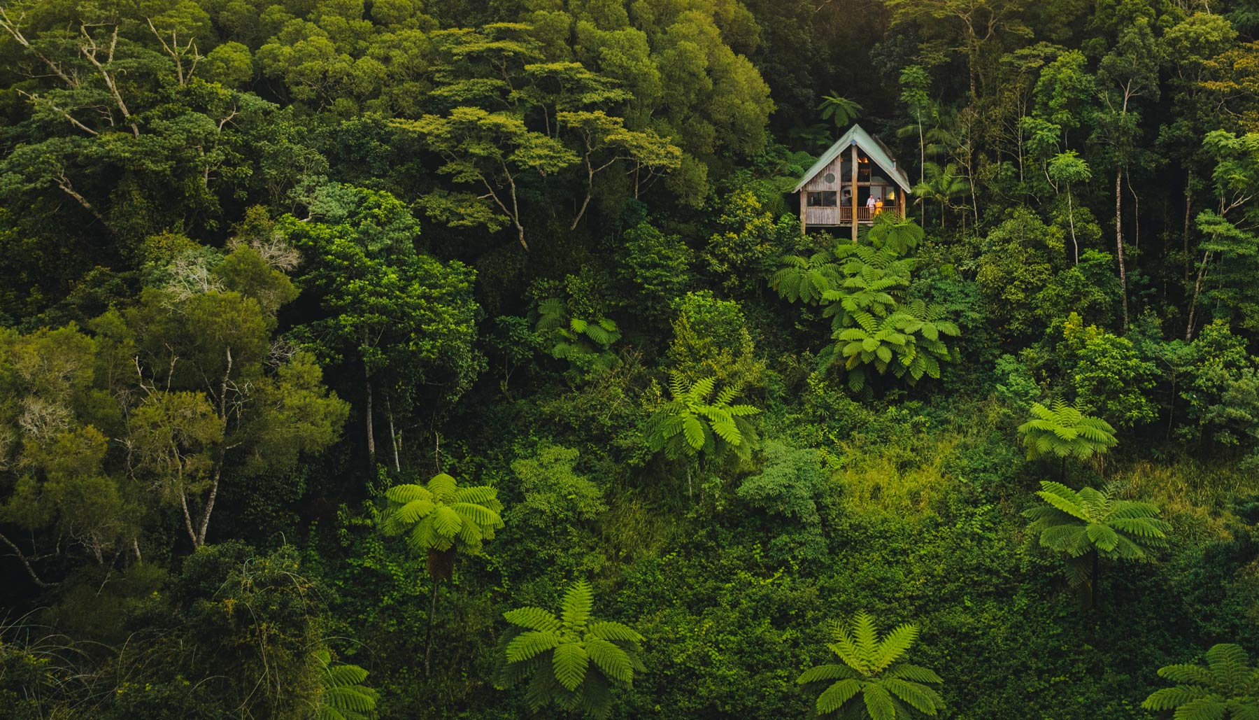 Wingin’ It – Self Guided Birdwatching | Cairns & Great Barrier Reef