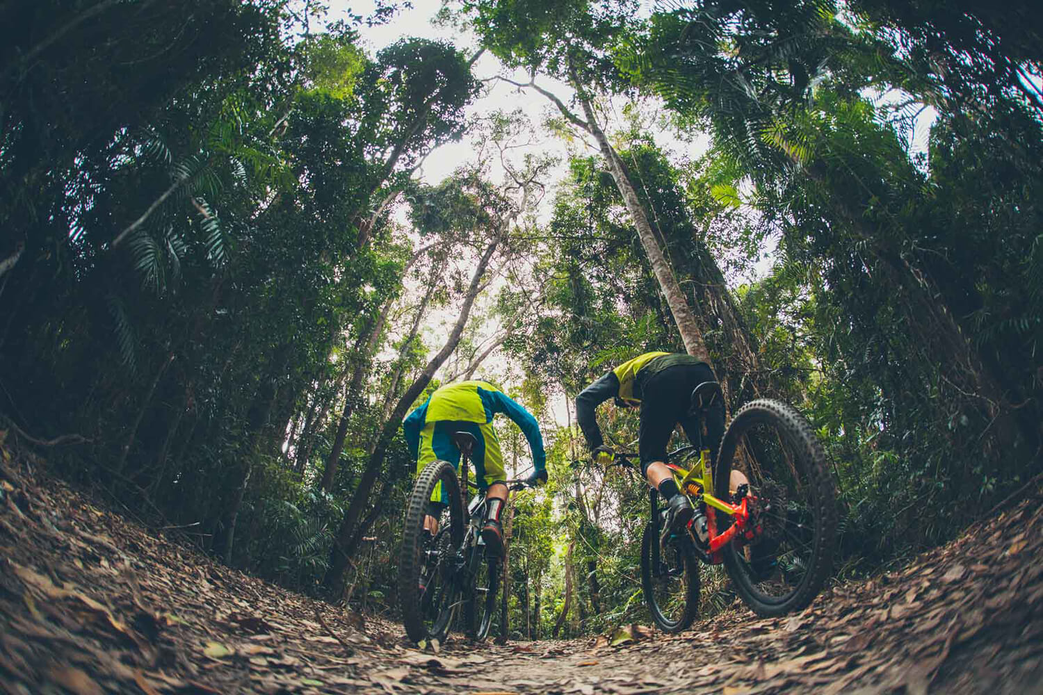 Bump BMX Track | Cairns & Great Barrier Reef