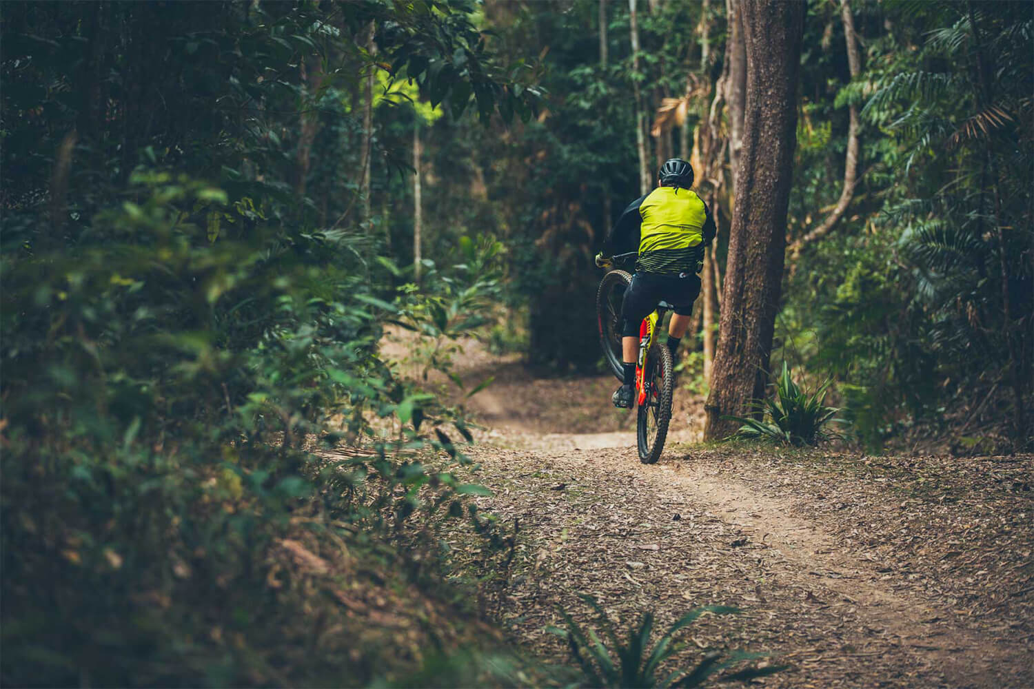 Bump BMX Track | Cairns & Great Barrier Reef
