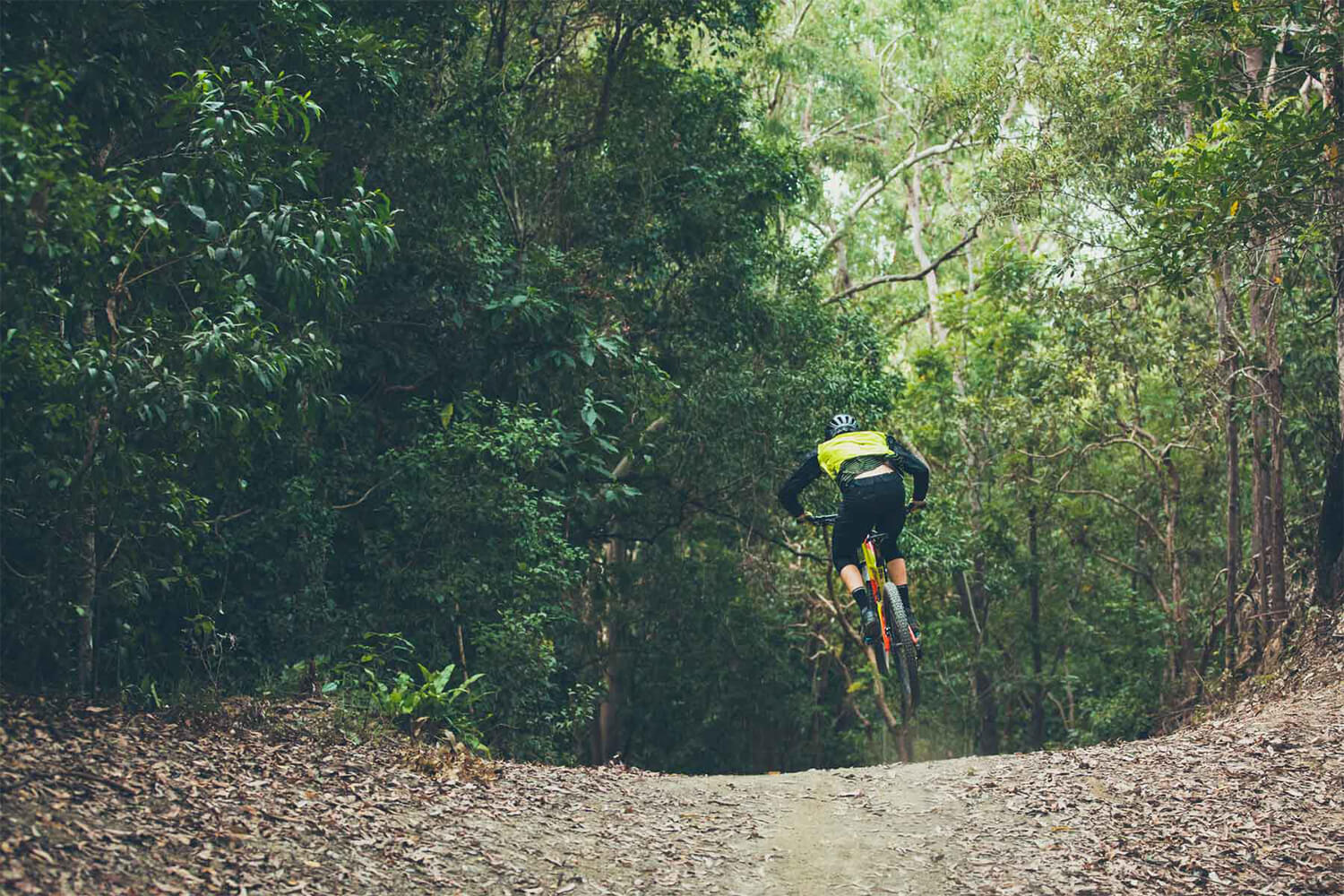 Bump BMX Track | Cairns & Great Barrier Reef