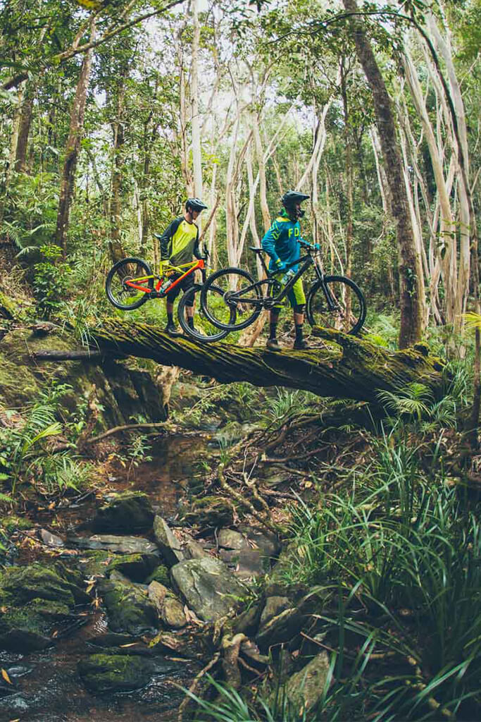 Take the CREB Track challenge | Cairns & Great Barrier Reef