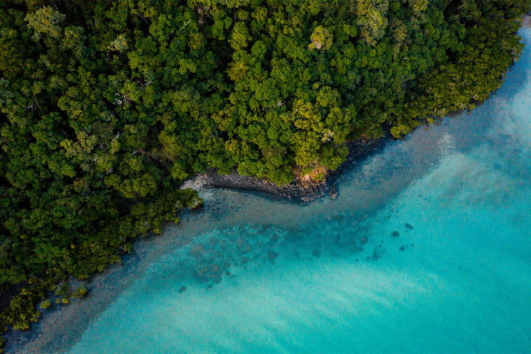 Palm Cove, Beach Side Paradise | Cairns & Great Barrier Reef