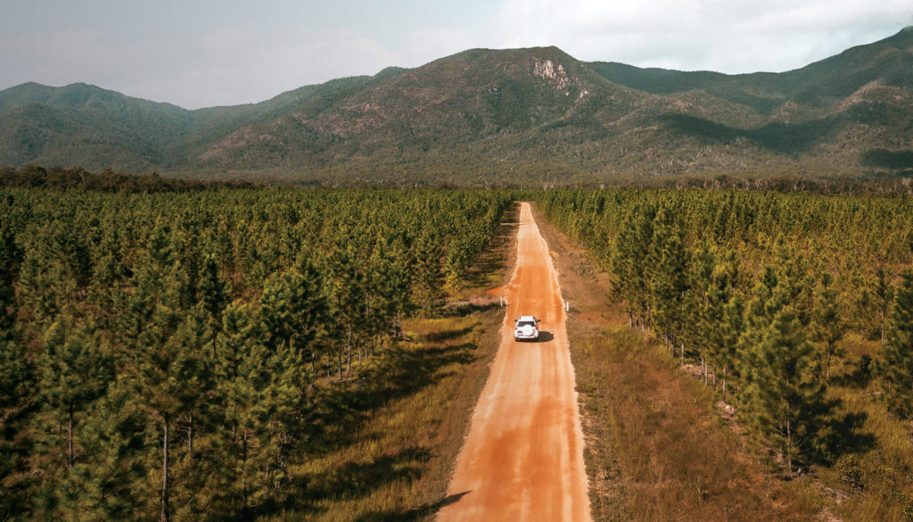 Travel Tips | Queensland, Australia | Cairns & Great Barrier Reef