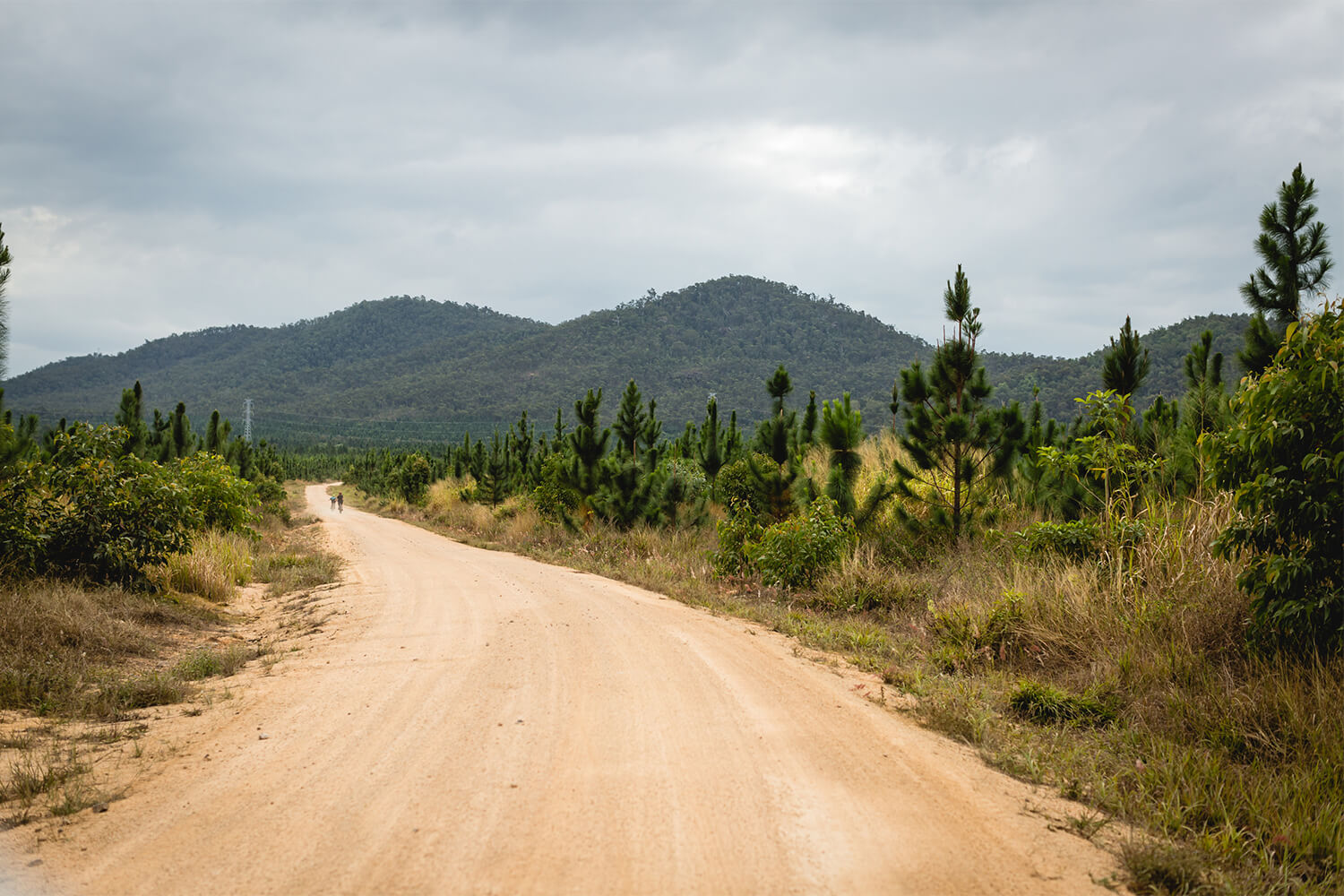 North Queenslands Best Swimming Holes | Cairns & Great Barrier Reef