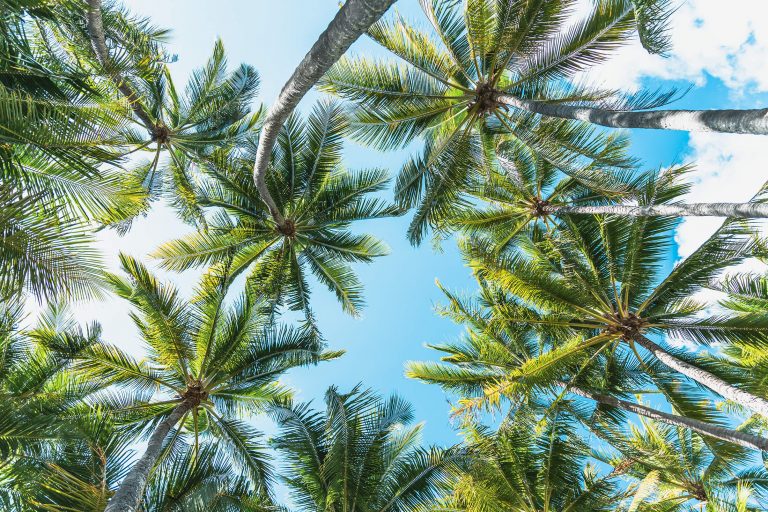 Warm Winter Holidays | Cairns & Great Barrier Reef