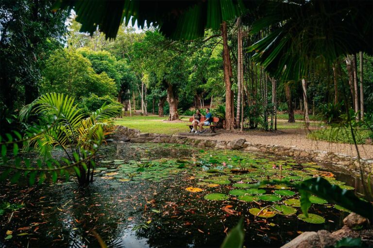 Things To Do In Cooktown | Cairns & Great Barrier Reef