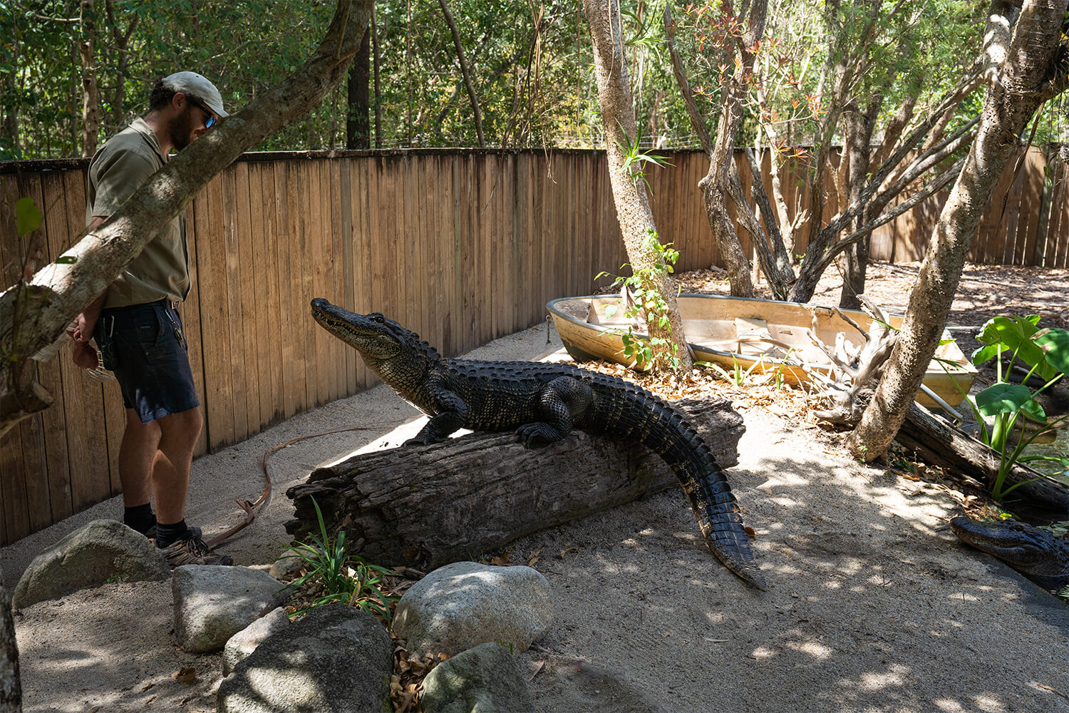 Hartley's Crocodile Adventures | Cairns & Great Barrier Reef