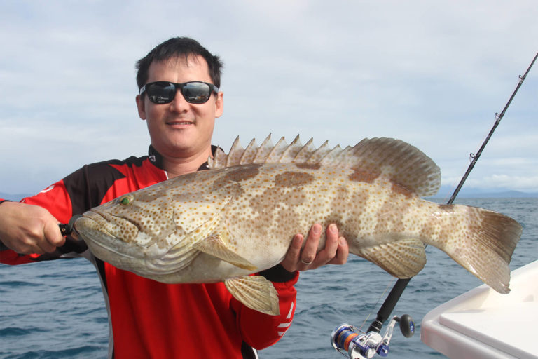 An Angler's Guide To Fishing In North Queensland | Cairns & Great ...