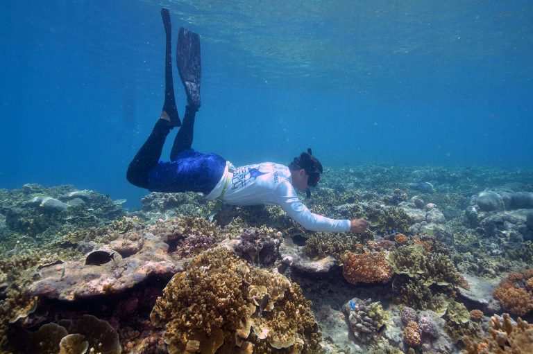 How To Dive, Snorkel & Explore The GBR | Cairns & Great Barrier Reef