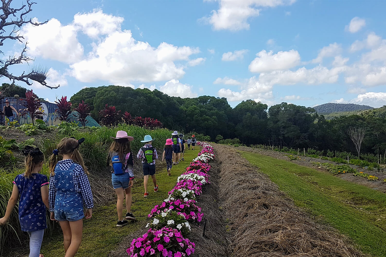 Kurcow Farm Experience | Cairns & Great Barrier Reef
