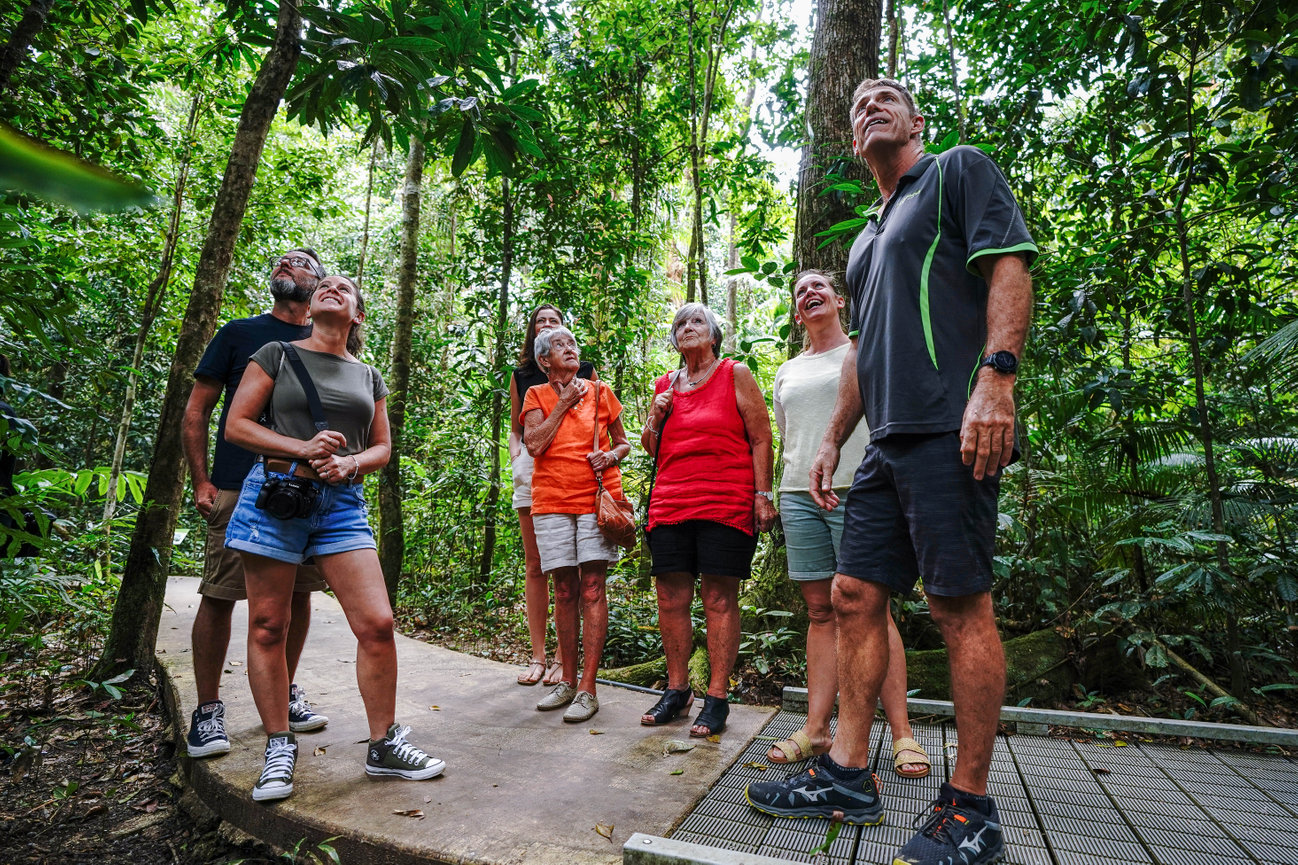 10% Off Half & Full Day Daintree Tours | Cairns & Great Barrier Reef