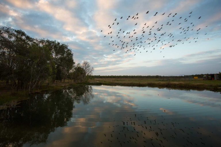 No car, no worries – try these Cape York Tours | Cairns & Great Barrier ...