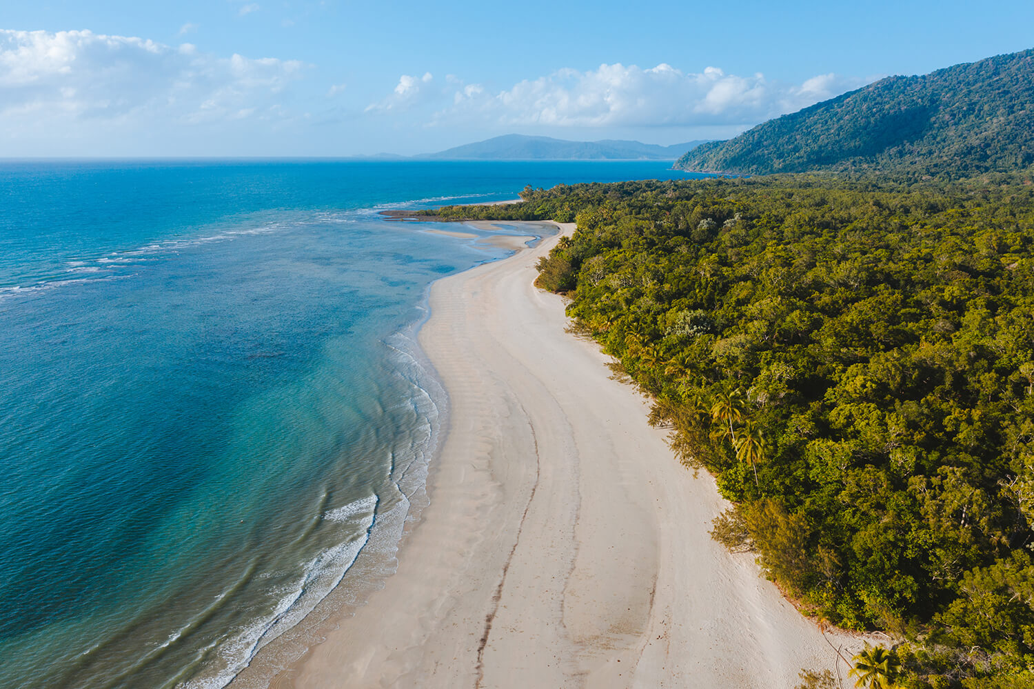 Guide to Daintree & Cape Tribulation Accommodation | Cairns & Great ...