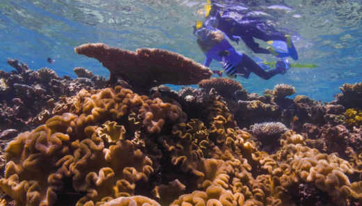 Ways You Can Help Protect The Reef | Cairns & Great Barrier Reef