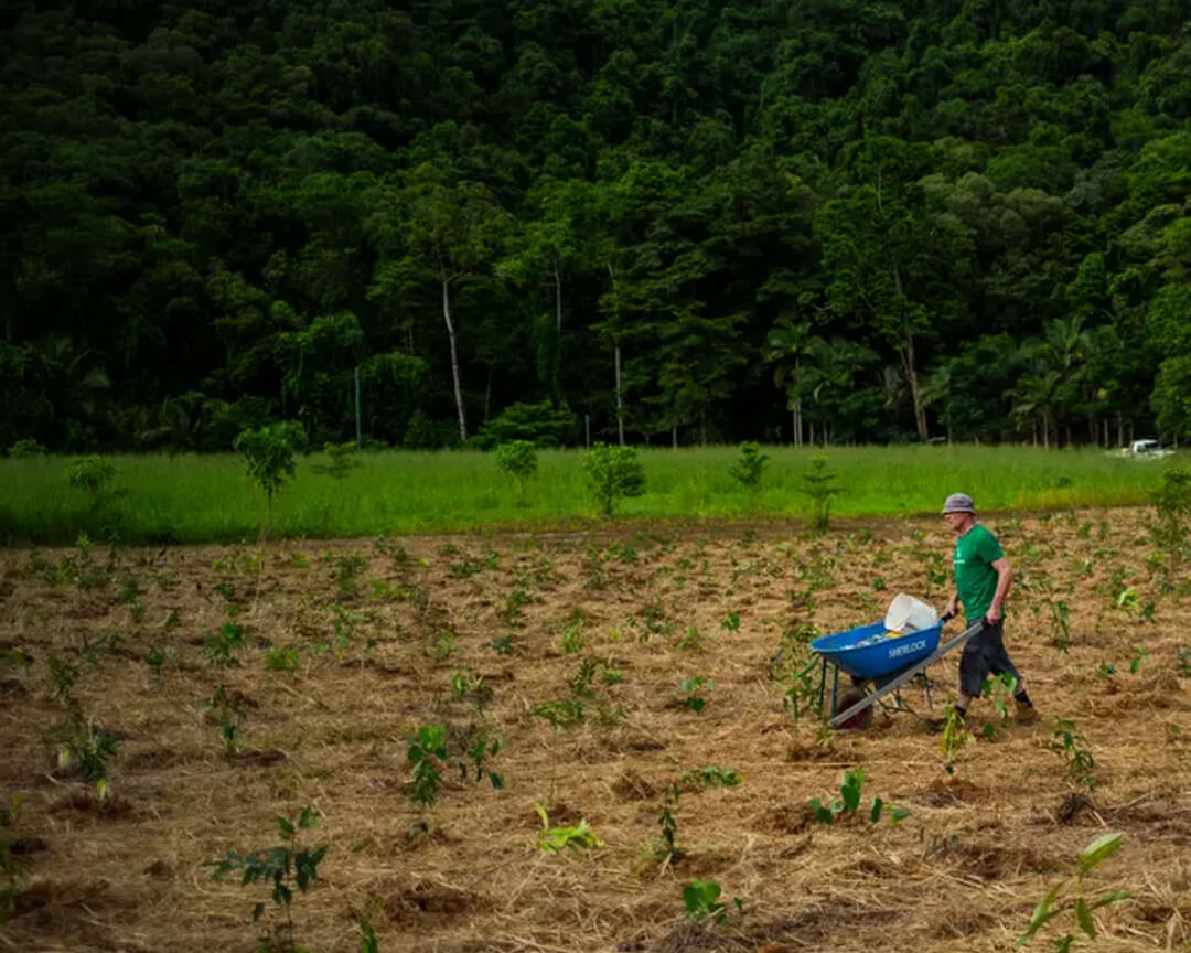Rainforest Rescue | Cairns & Great Barrier Reef