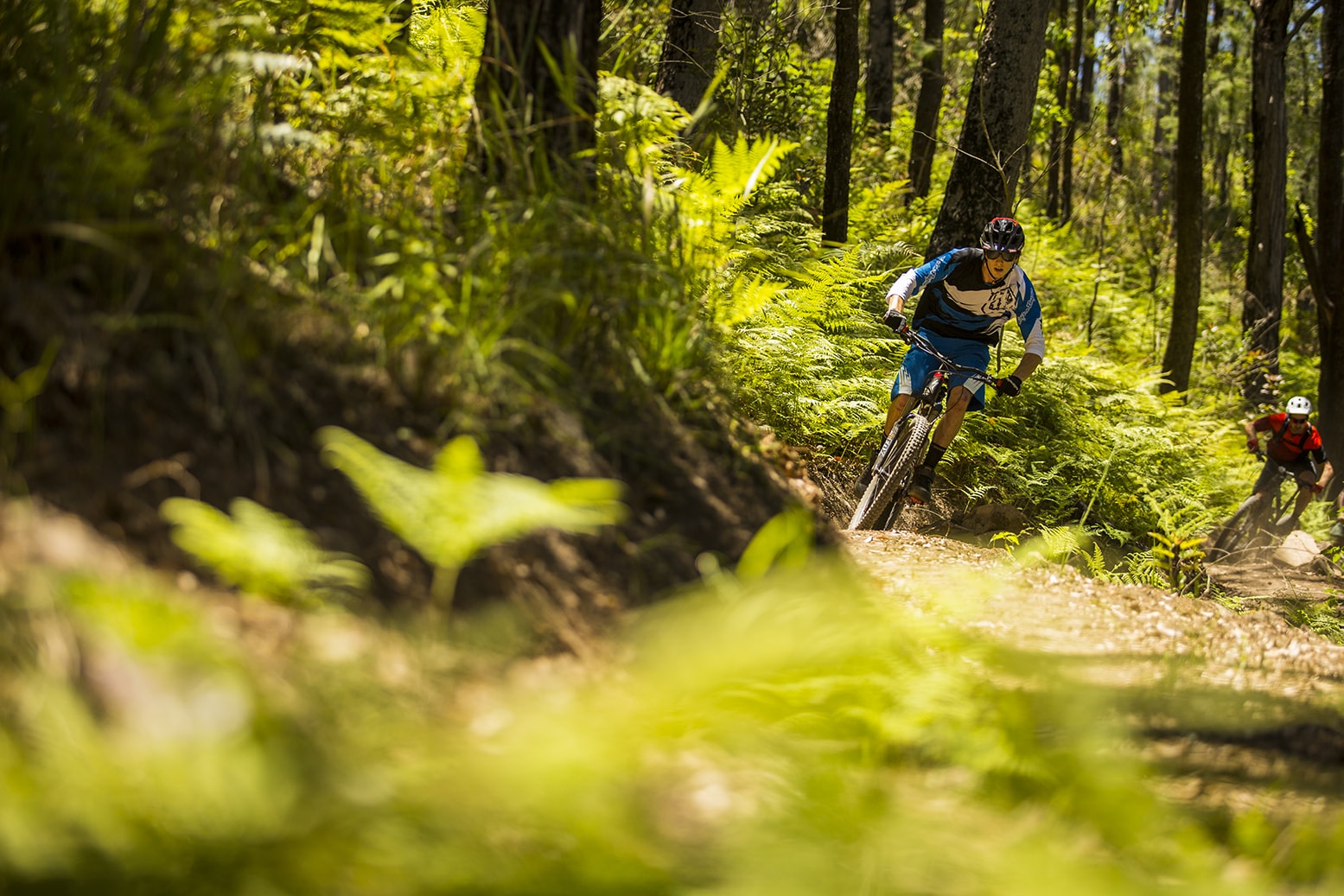 Bike Trails On The Atherton Tablelands | Cairns & Great Barrier Reef