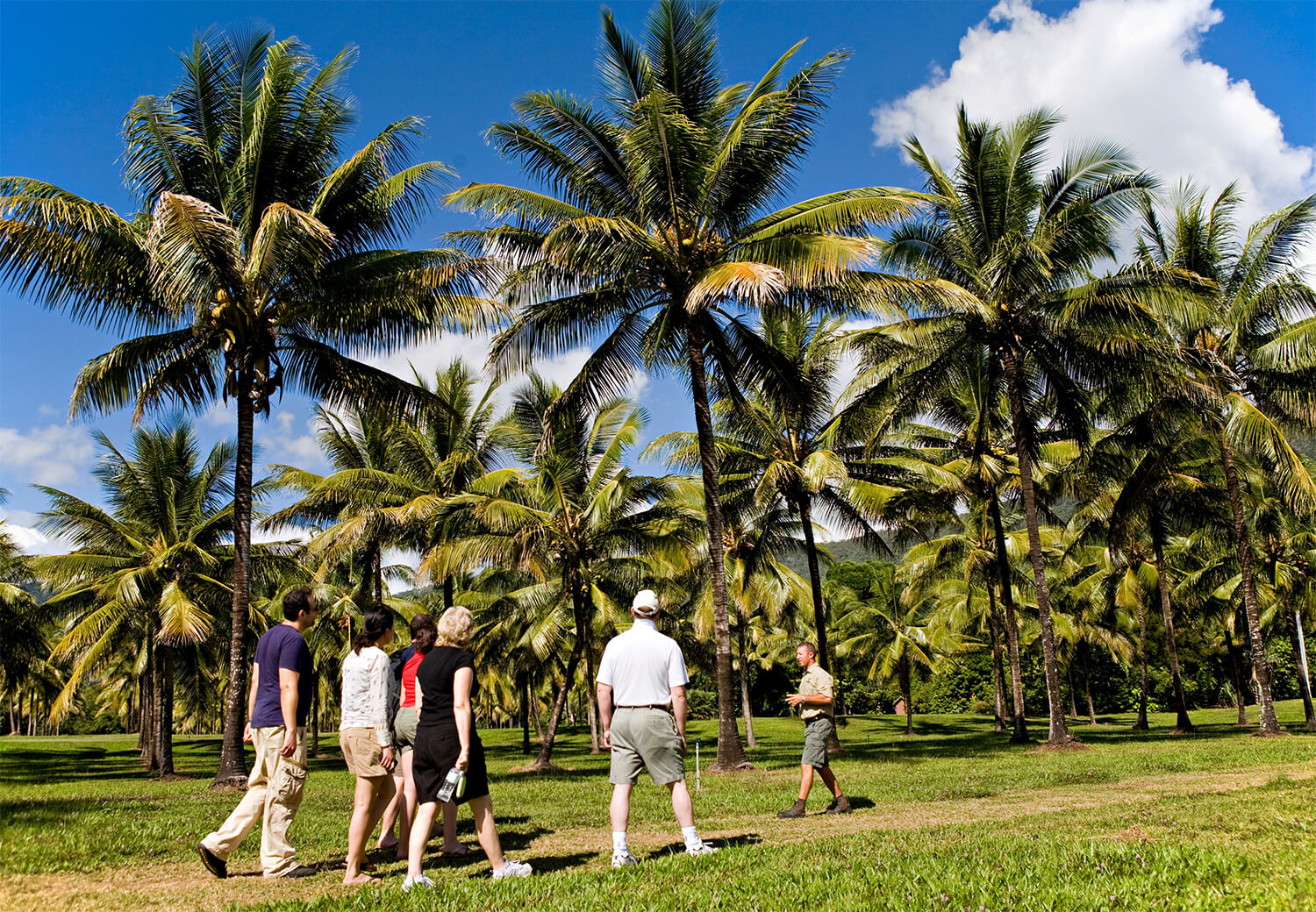 Discover Thala Beach Nature Reserve | Cairns & Great Barrier Reef