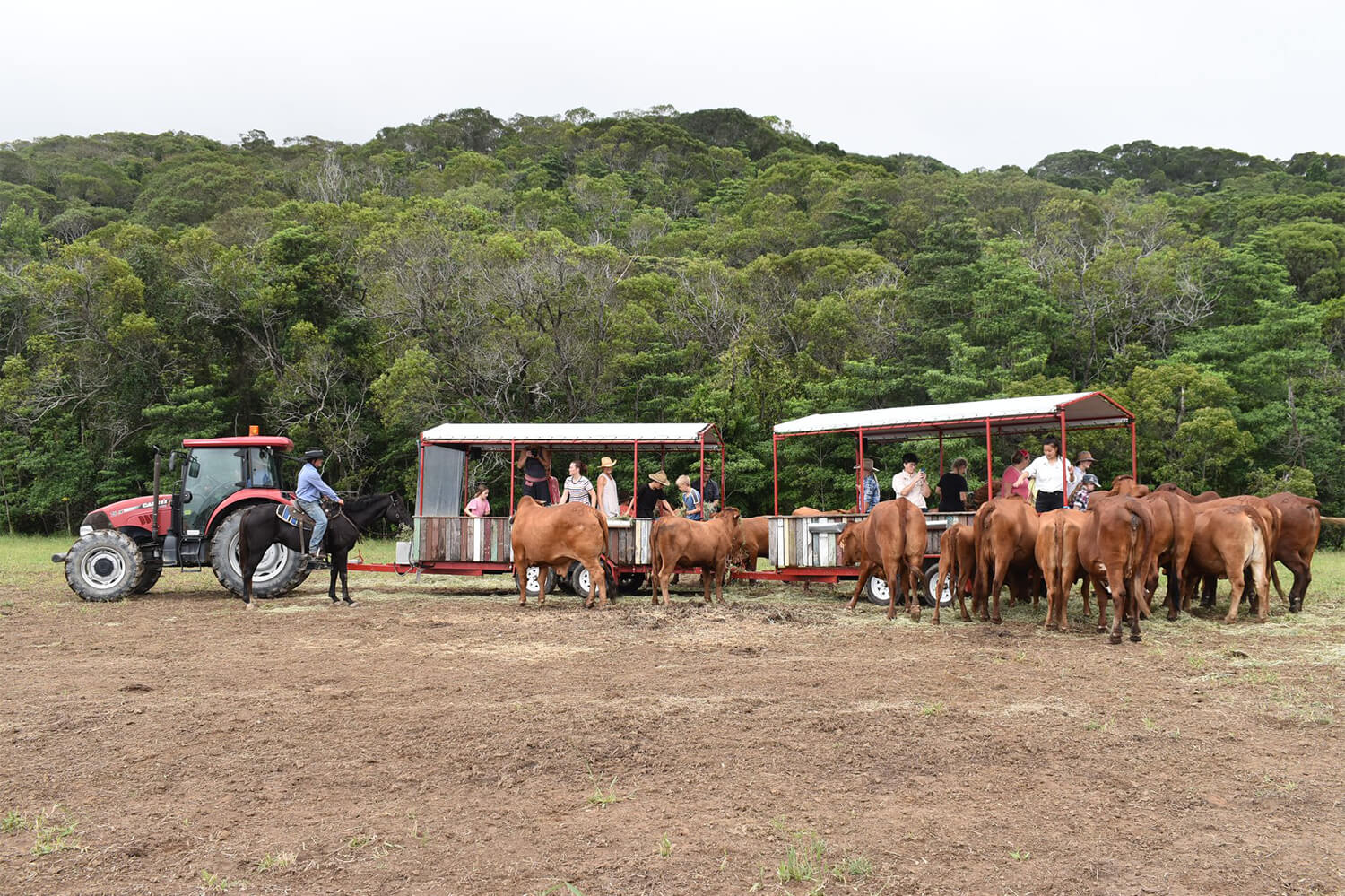 Kurcow Farm Experience | Cairns & Great Barrier Reef