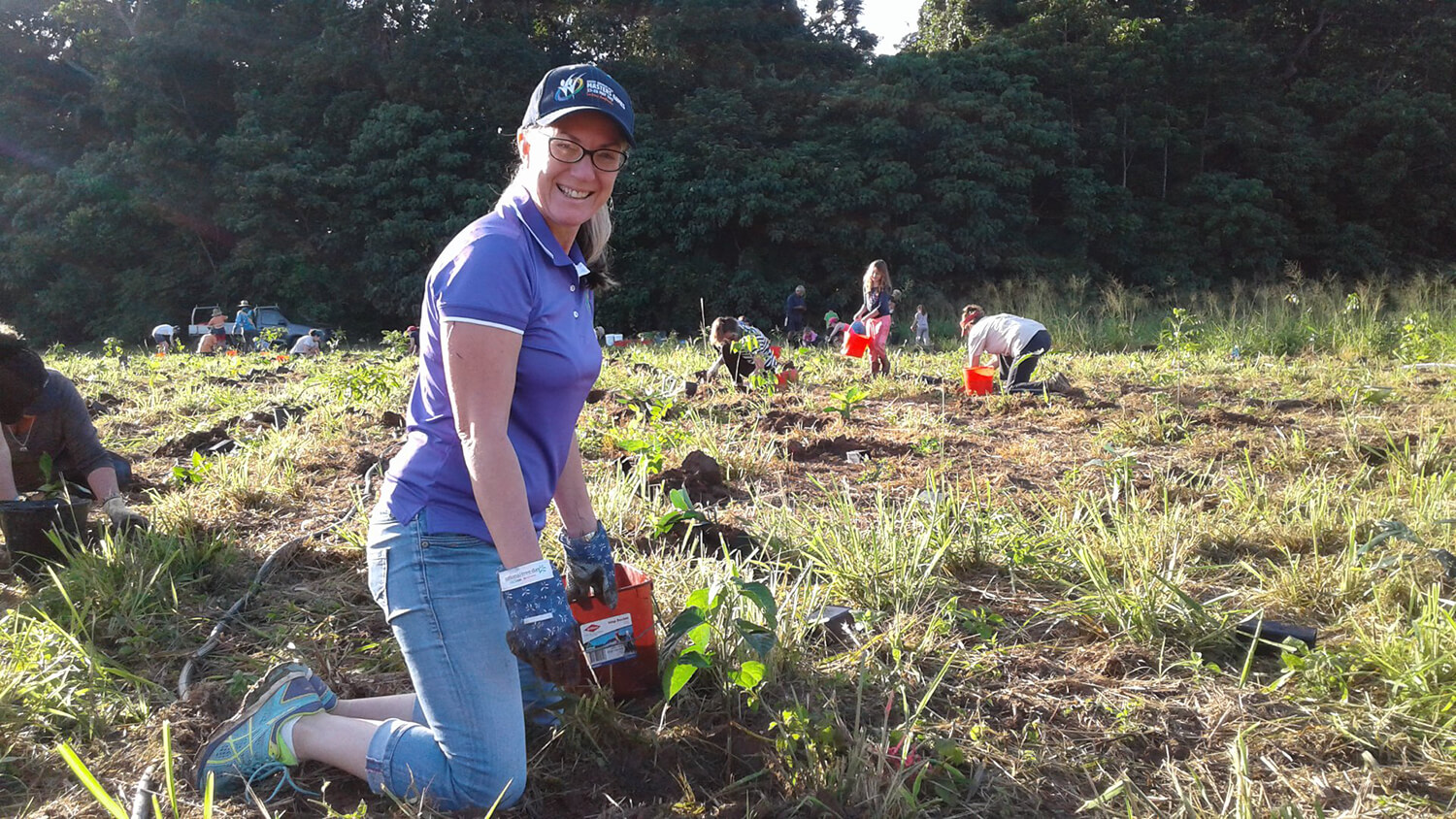 Treeforce | Cairns & Great Barrier Reef
