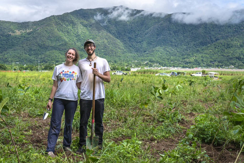 Treeforce | Cairns & Great Barrier Reef