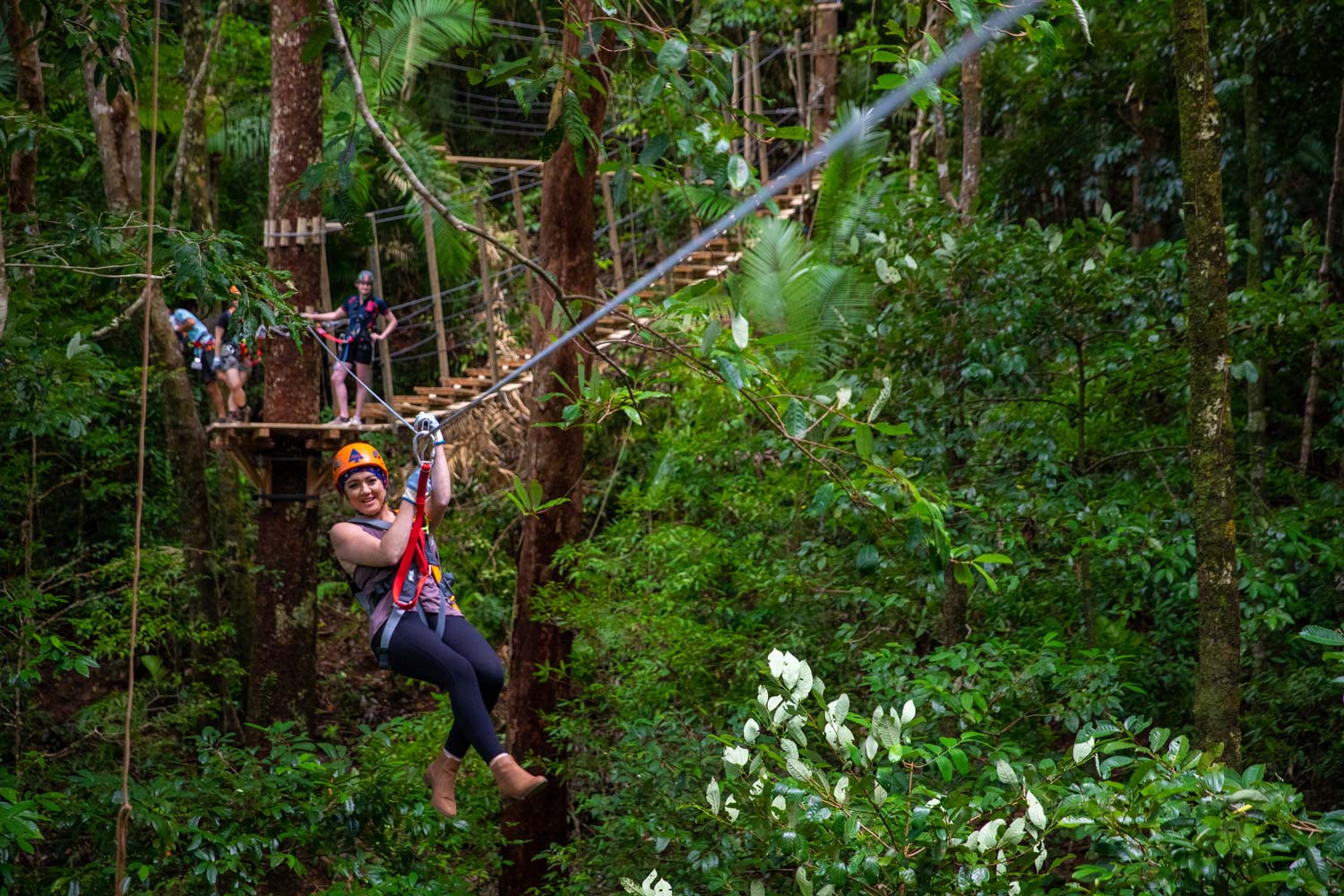 Things To Do In The Daintree | Cairns & Great Barrier Reef